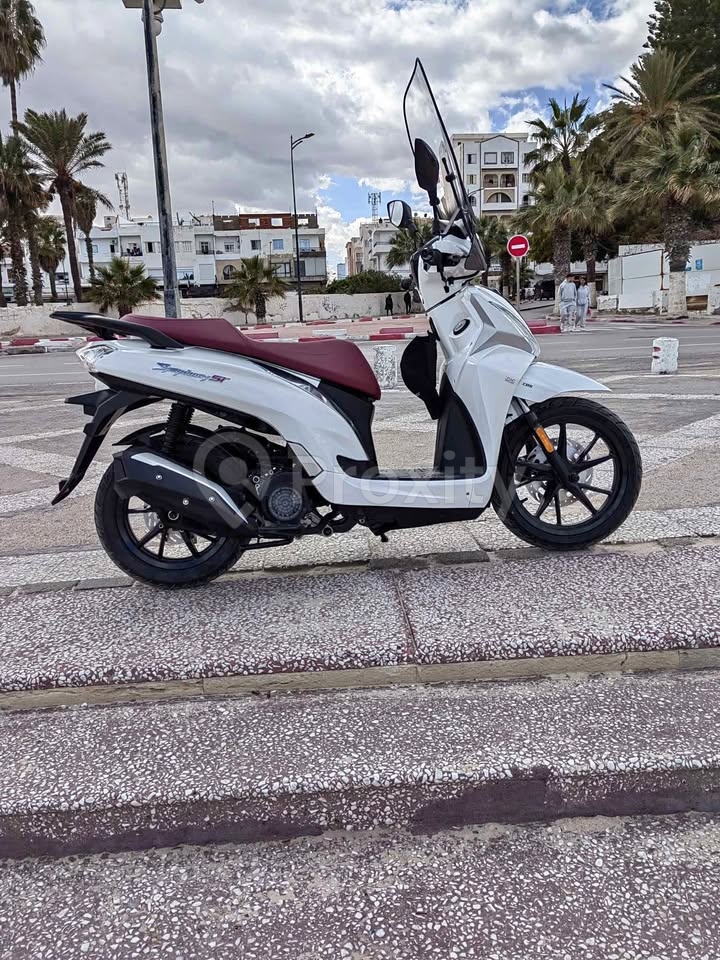 SYM Symphony ST 125 Injection (1000 km) en rodage – Sousse | Proxity.tn